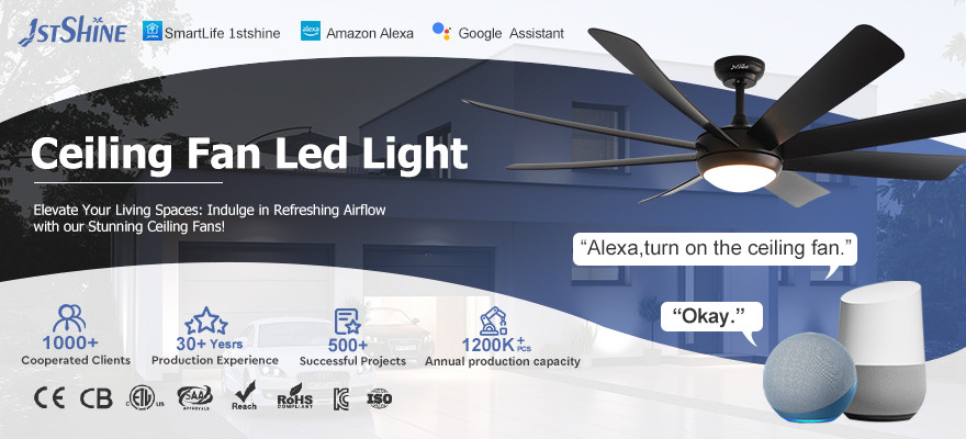 Unveiling the Secrets of High-Quality Ceiling Fans with Lights