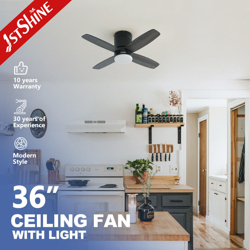 ceiling fan name