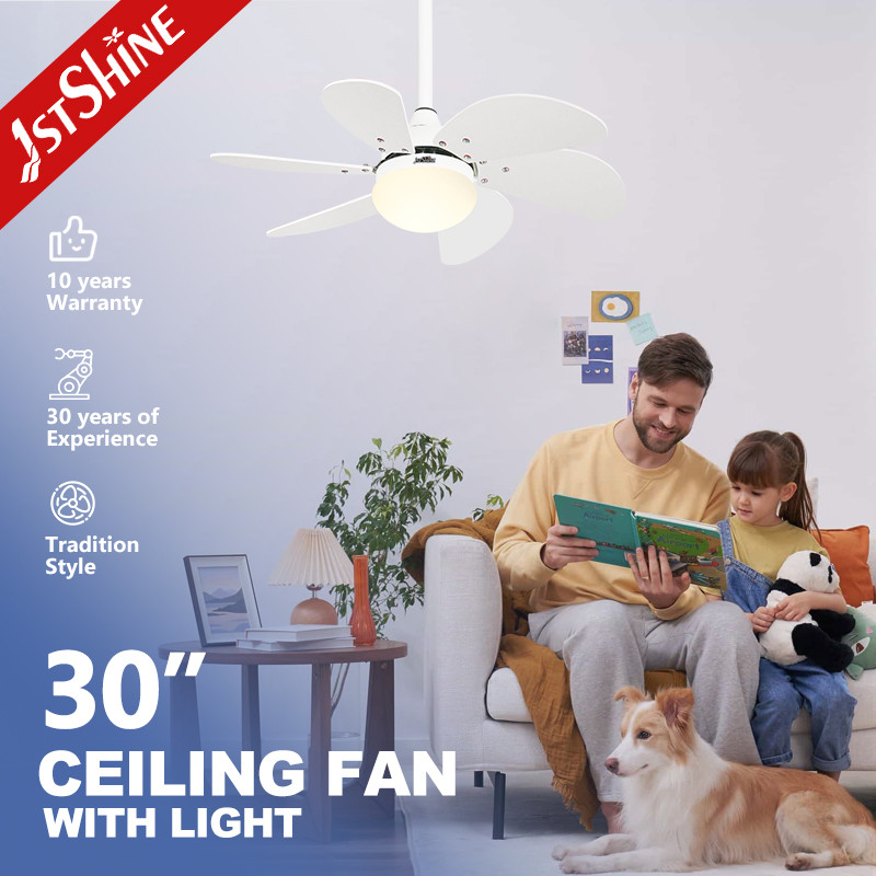 White Ceiling Fan Light Kids' Room DC Motor 30 Inch Mini LED Ceiling Fan